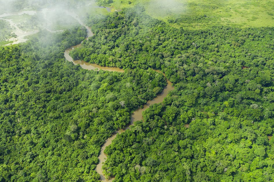 New report shows threats to the Three Basins | Earth Insight