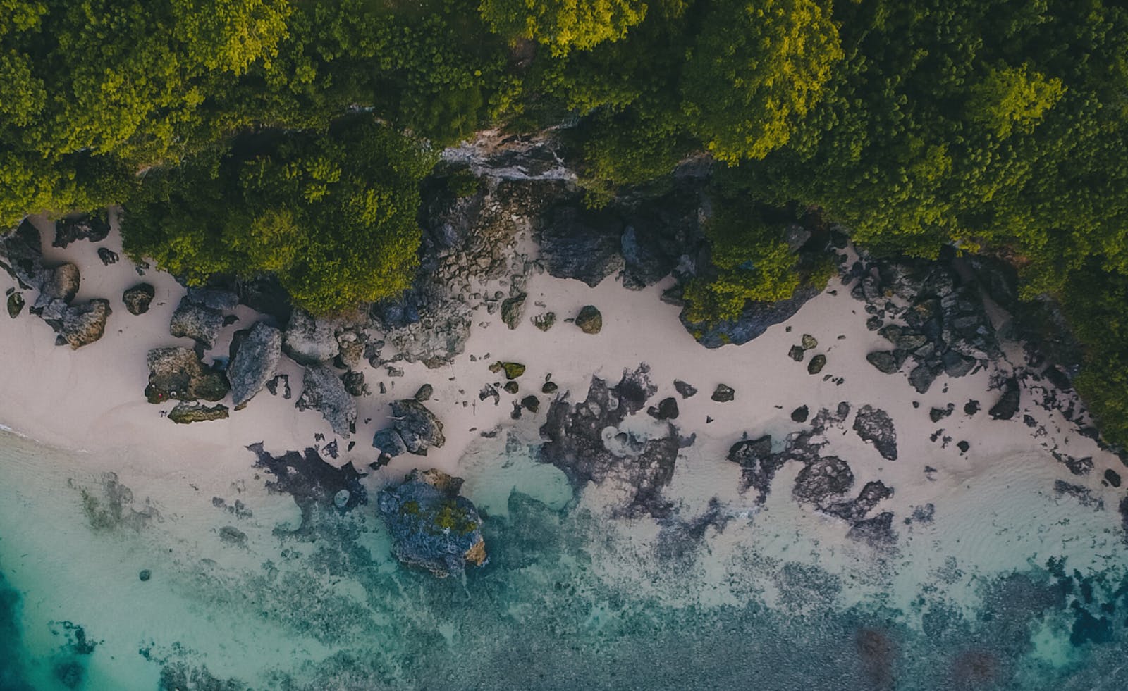 Join us on September 25th for our NY Climate Week Event | Earth Insight