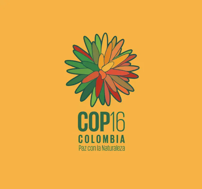 Earth Insight at Cop 16 | Earth Insight