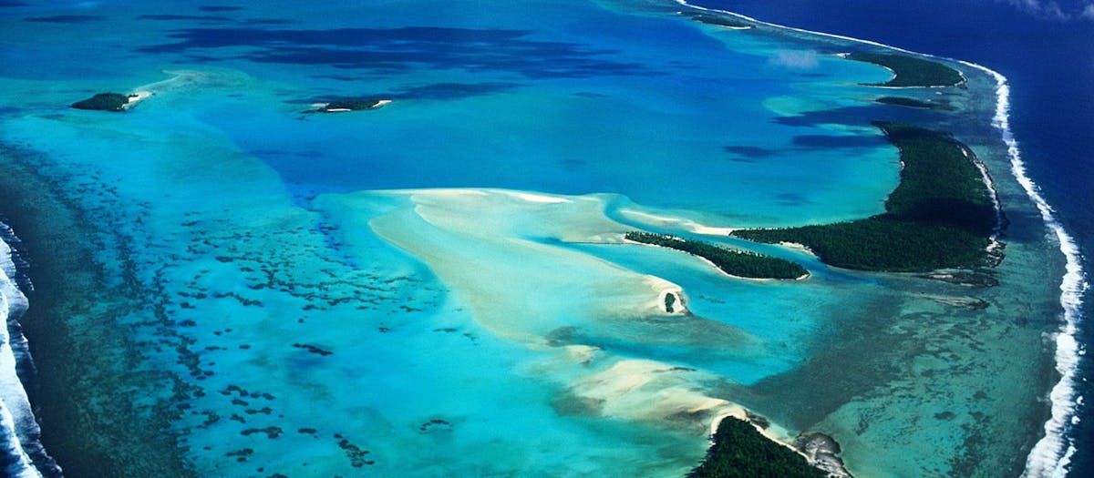 Oceans 5 | Protecting the World's Five Oceans | One Earth