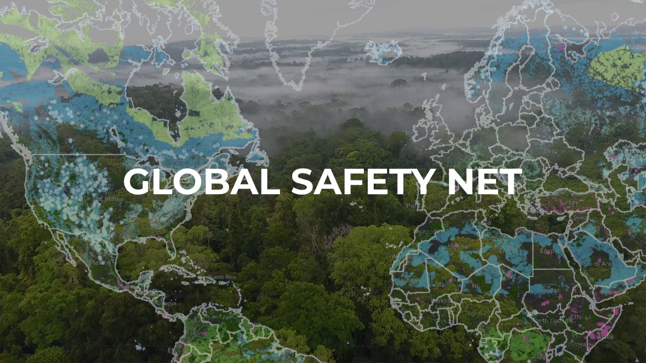 Global Safety Net