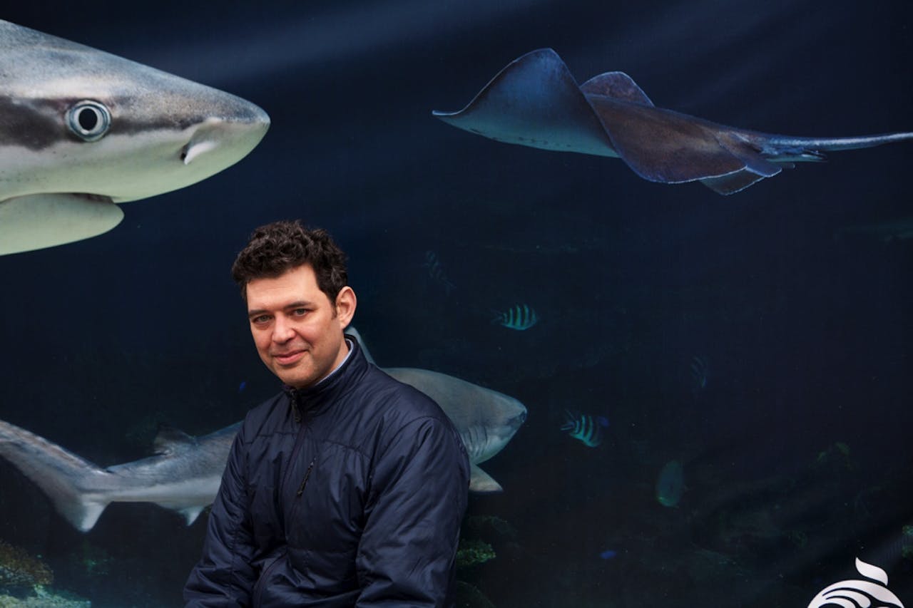 Global Shark Trends | Shark Conservation Fund