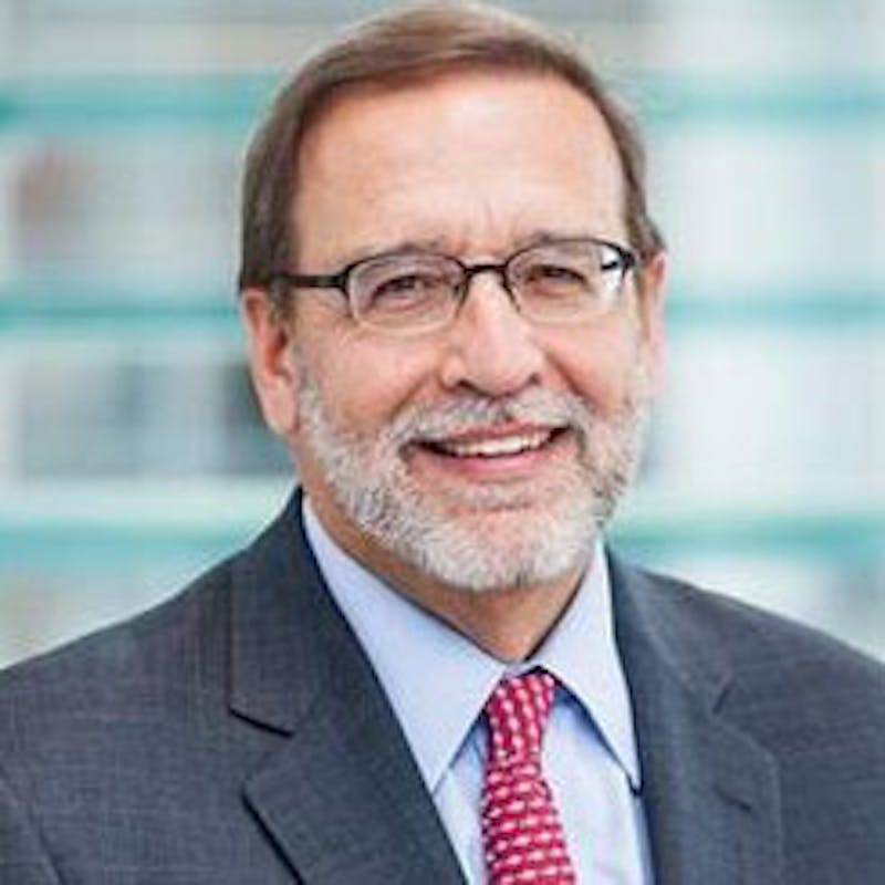 Who We Are | Shark Conservation Fund