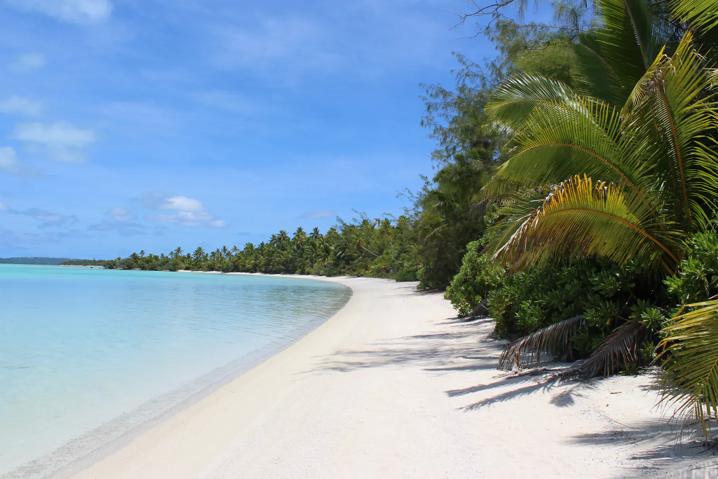 To support establishment of Cook Islands Marine Park | Oceans 5