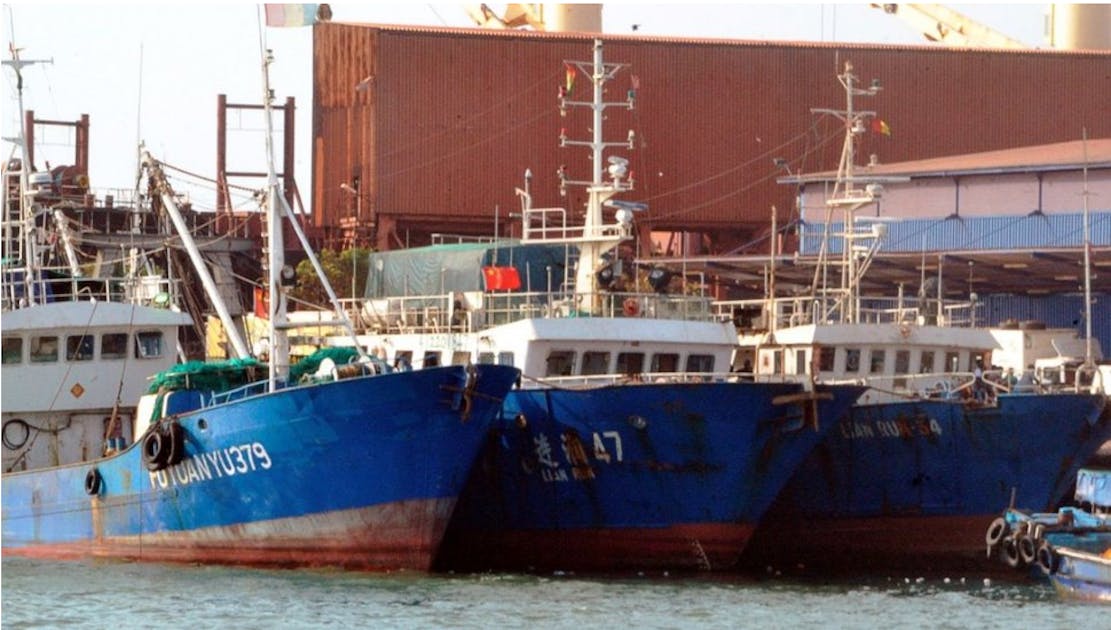 Reinforcing Fisheries’ Governance In Guinea | Oceans 5