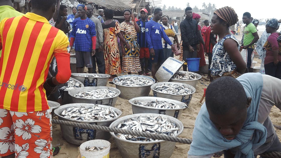 Improving Fisheries Governance in Ghana and the Wider Sub-Region | Oceans 5