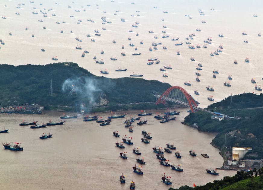 Pacific High Seas Fisheries | Oceans 5