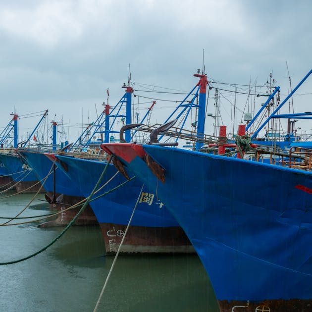 Africa-China Distant Water Fishing Transparency Track II Dialogue ...