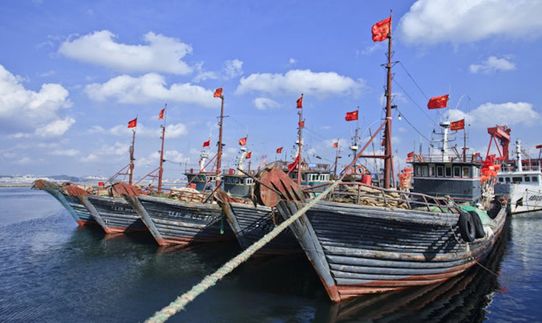Improving China’s Domestic Fisheries | Oceans 5