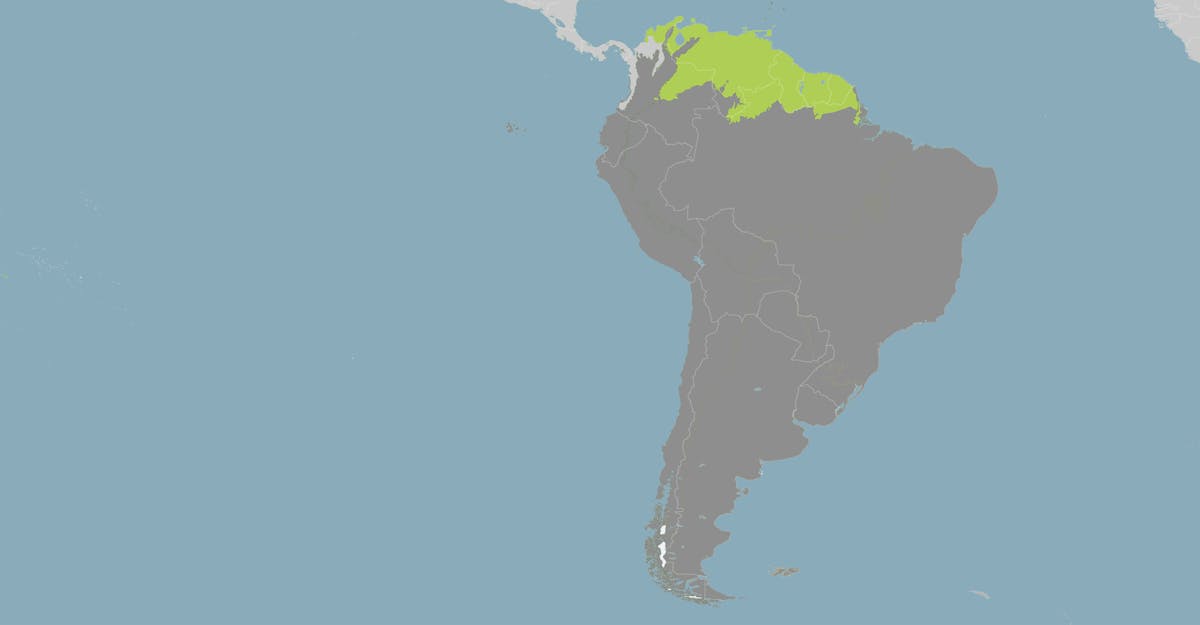 Upper South America | One Earth
