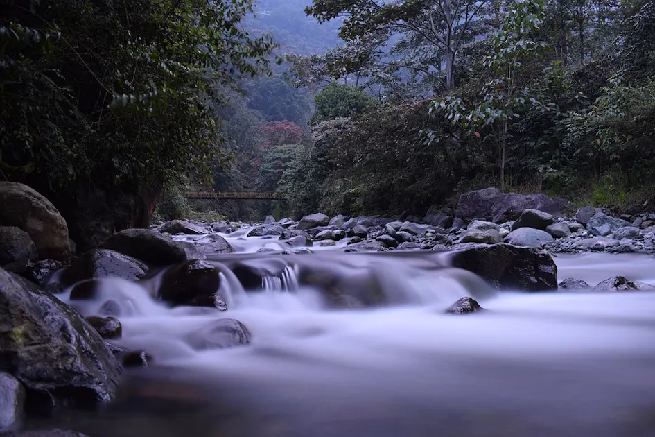 Cauca Valley Dry Forests | One Earth