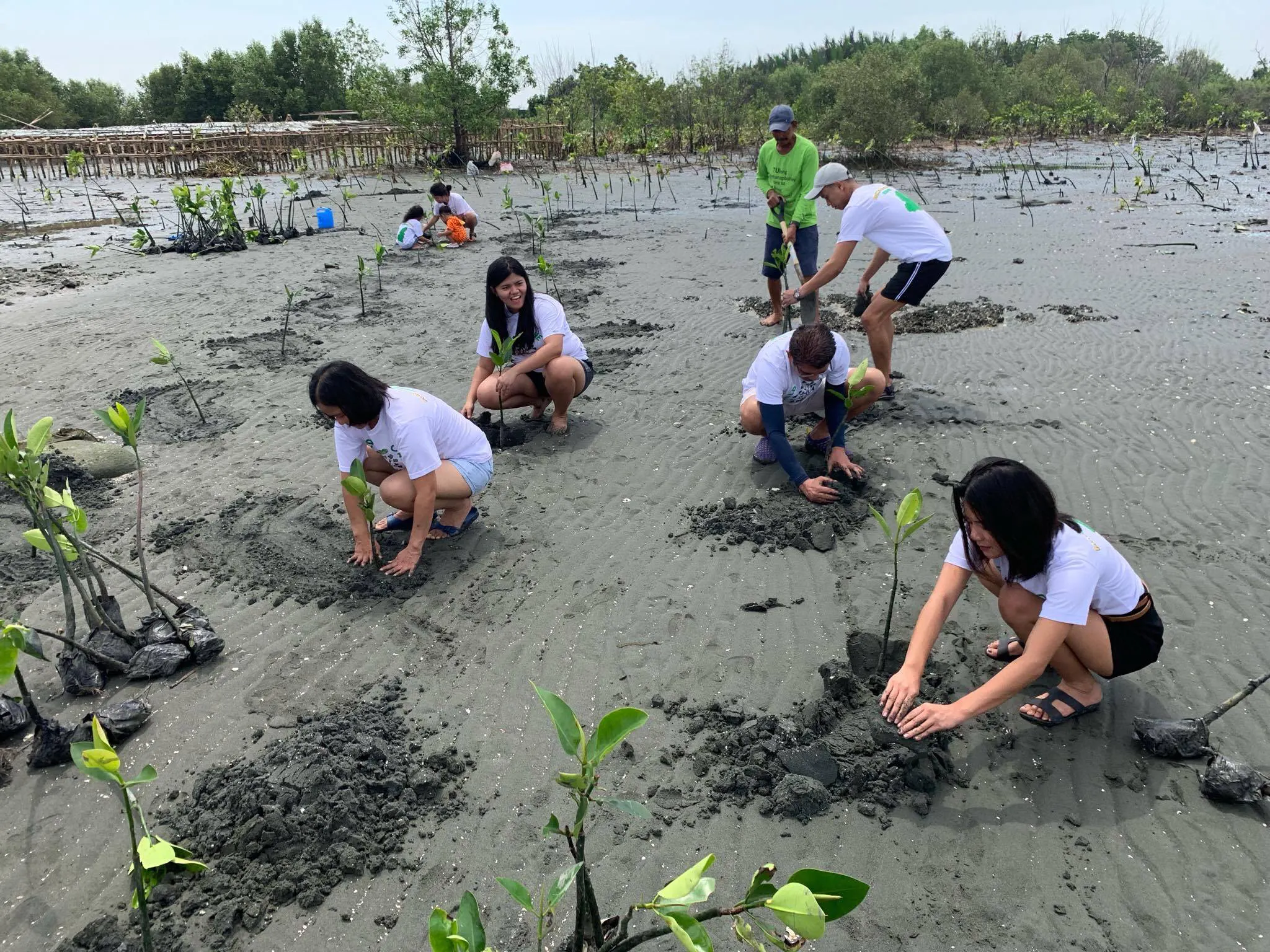 Sowing seeds of inspiration in the Philippines with mangrove ...