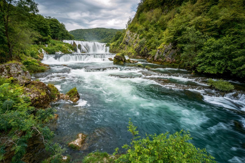 UN Biodiversity Lab is now a registered Digital Public Good | One Earth