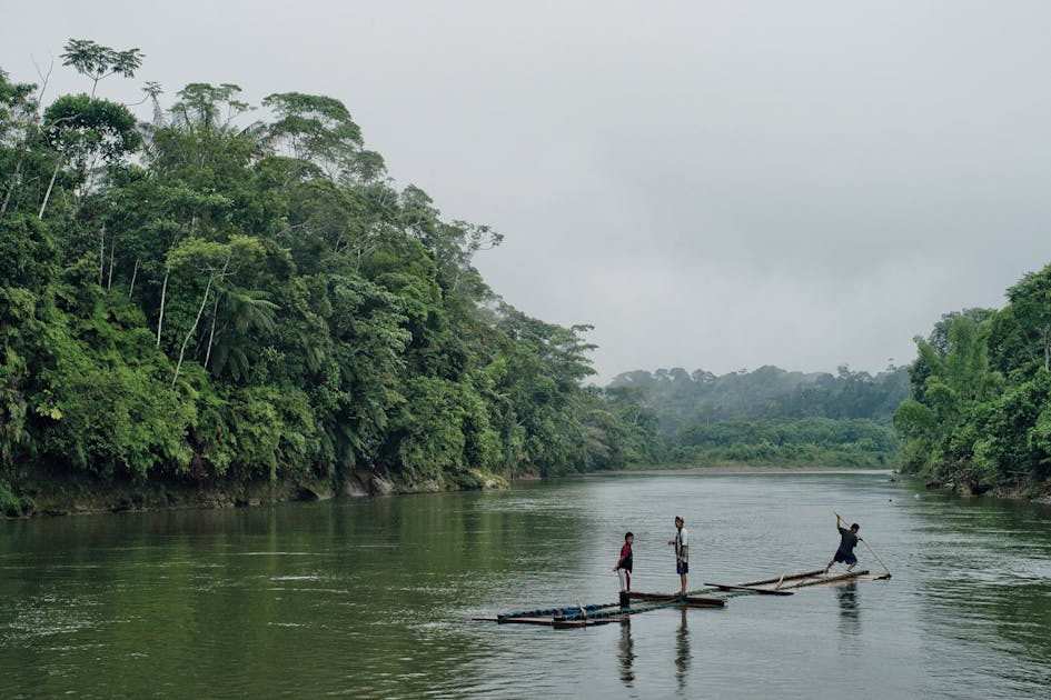LBO-2: Learning from Indigenous peoples and local communities to ...