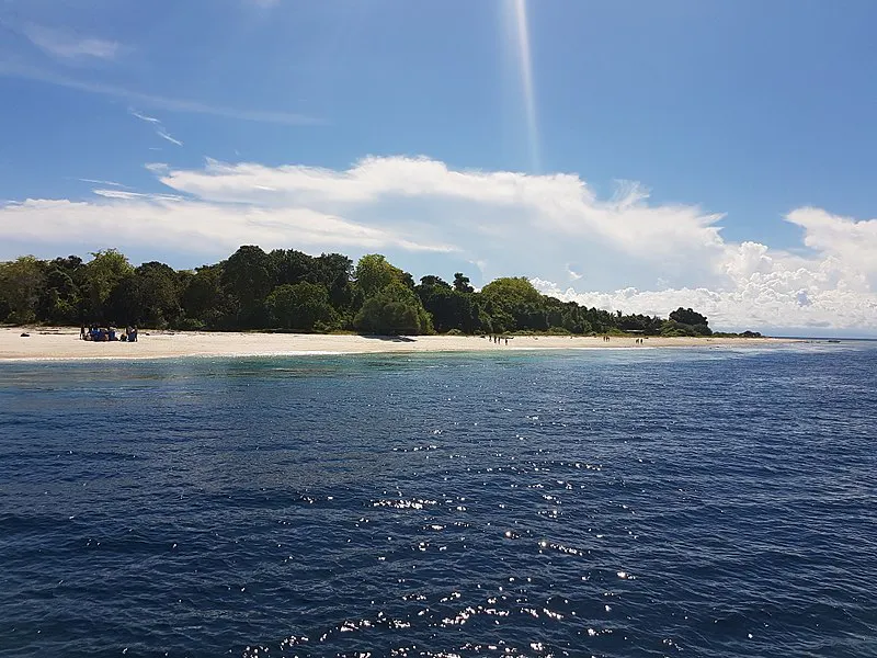 Philippines & Sulu Sea Tropical Forests (IM15) | One Earth