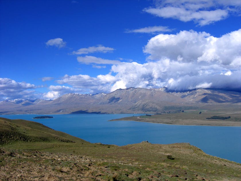 Canterbury Otago Tussock Grasslands One Earth