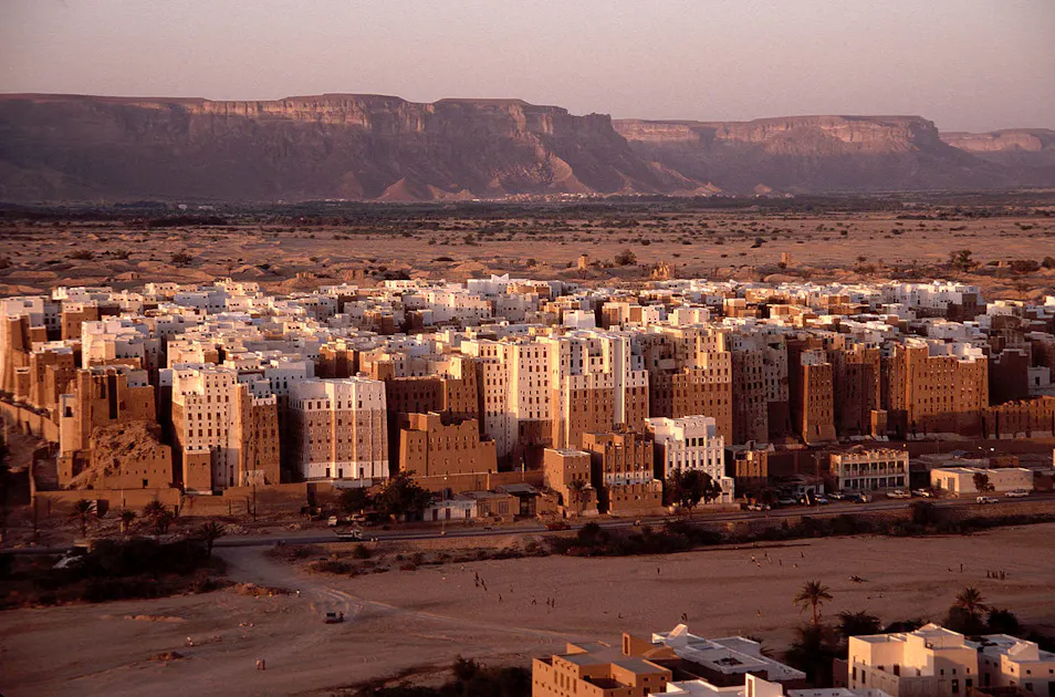 Southwest Arabian Highland Xeric Scrub | One Earth