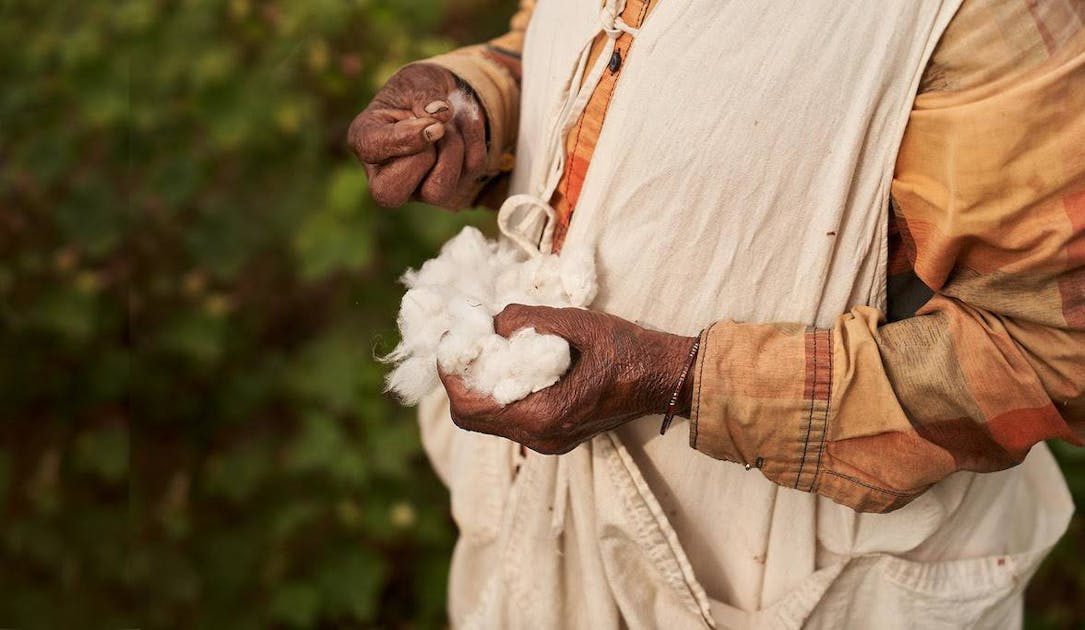 Sustainable Fiber & Pulp | One Earth