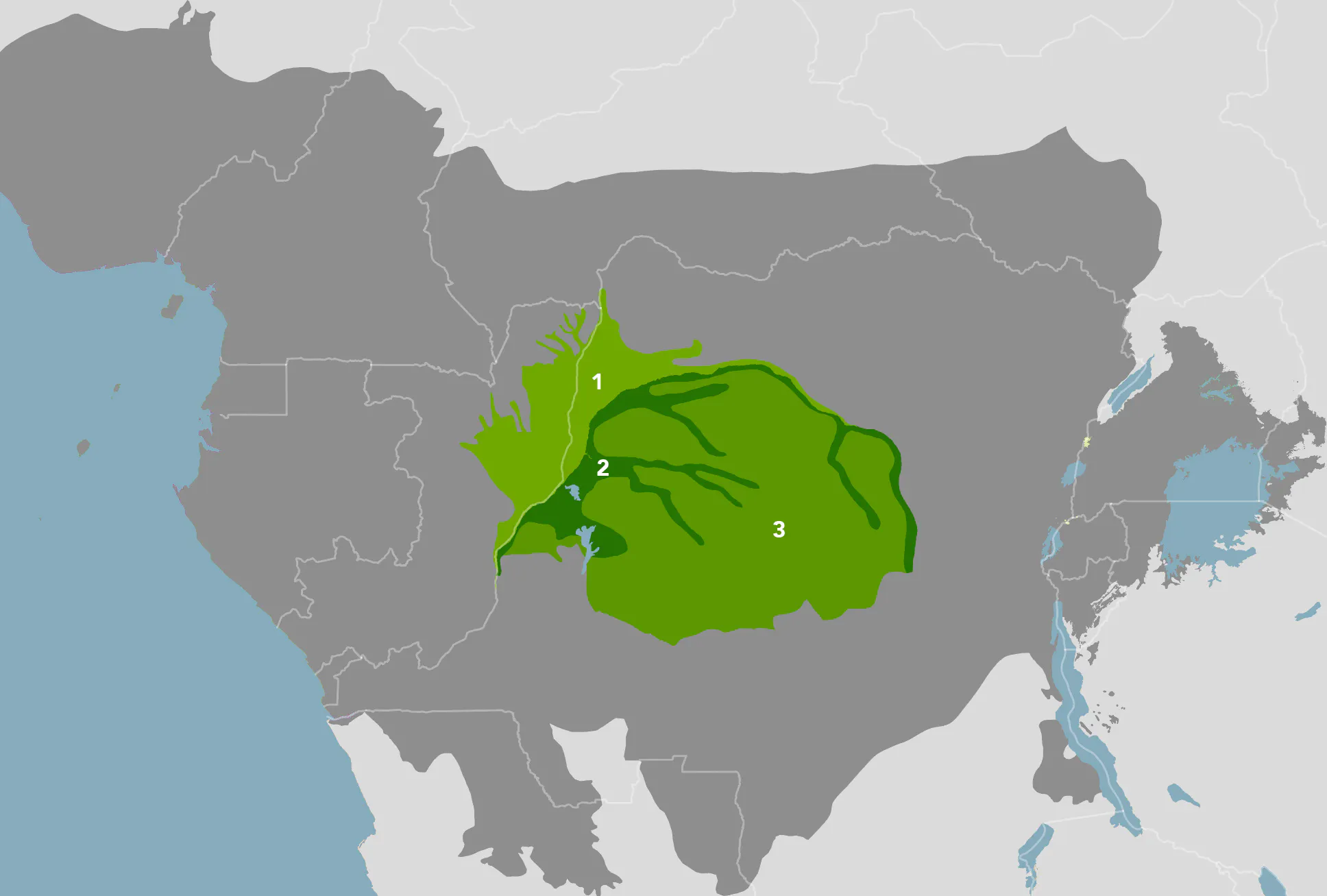 Central Congolian Tropical Forests (AT14) | One Earth