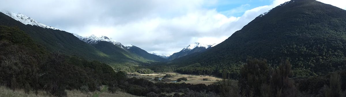 Nelson Coast Temperate Forests | One Earth