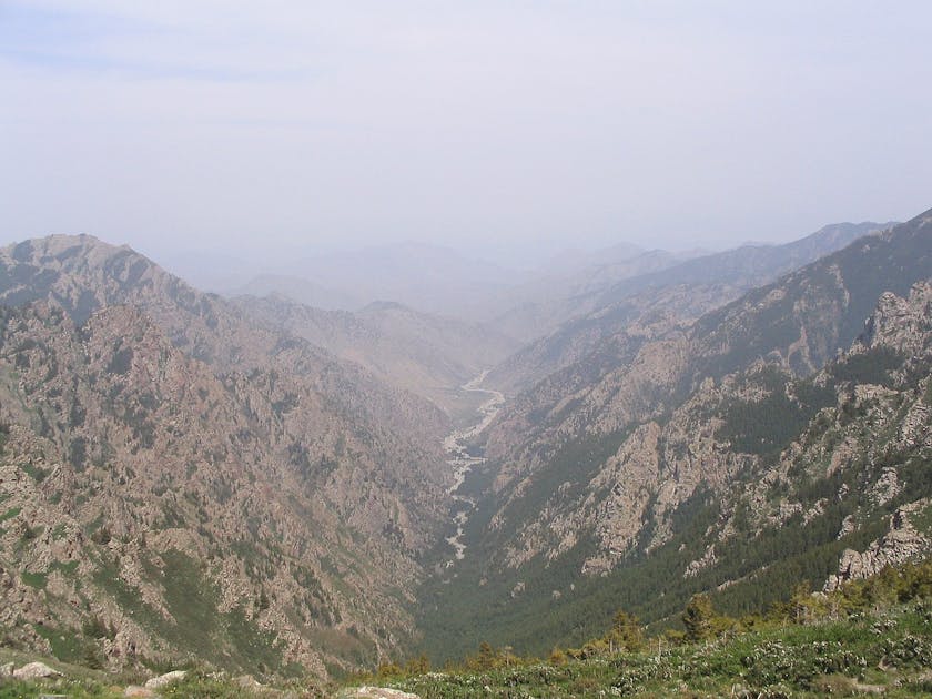 Ordos Plateau Steppe & Mountain Conifer Forests (PA42) | One Earth