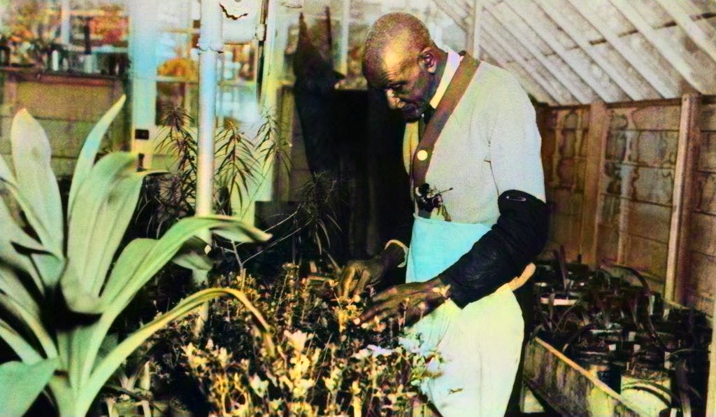 Environmental Hero: George Washington Carver | One Earth