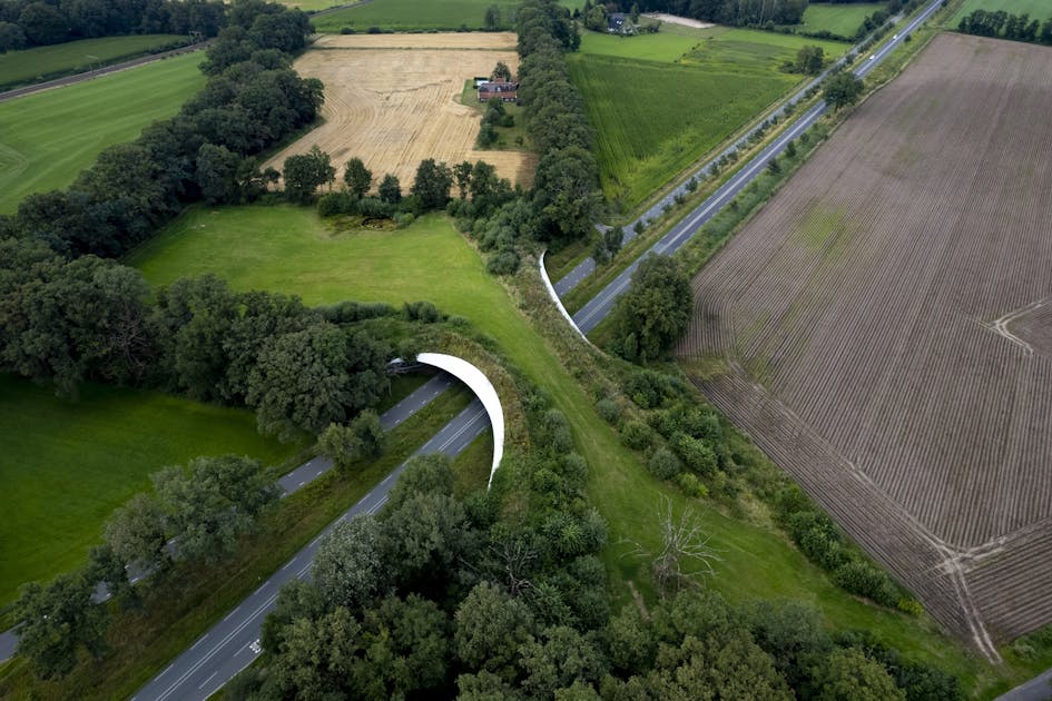 Land Corridors | One Earth