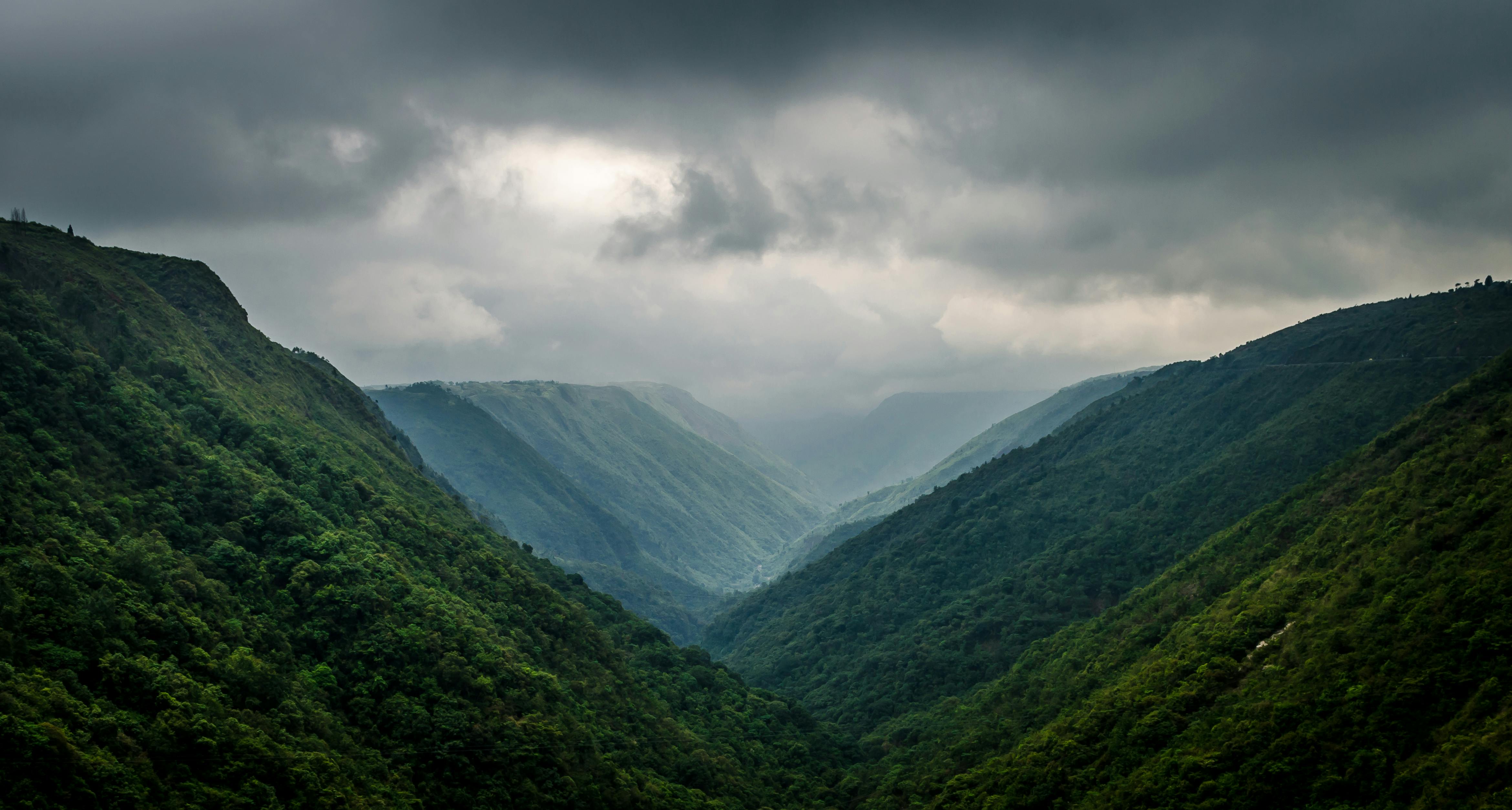 Meghalaya Subtropical Forests | One Earth