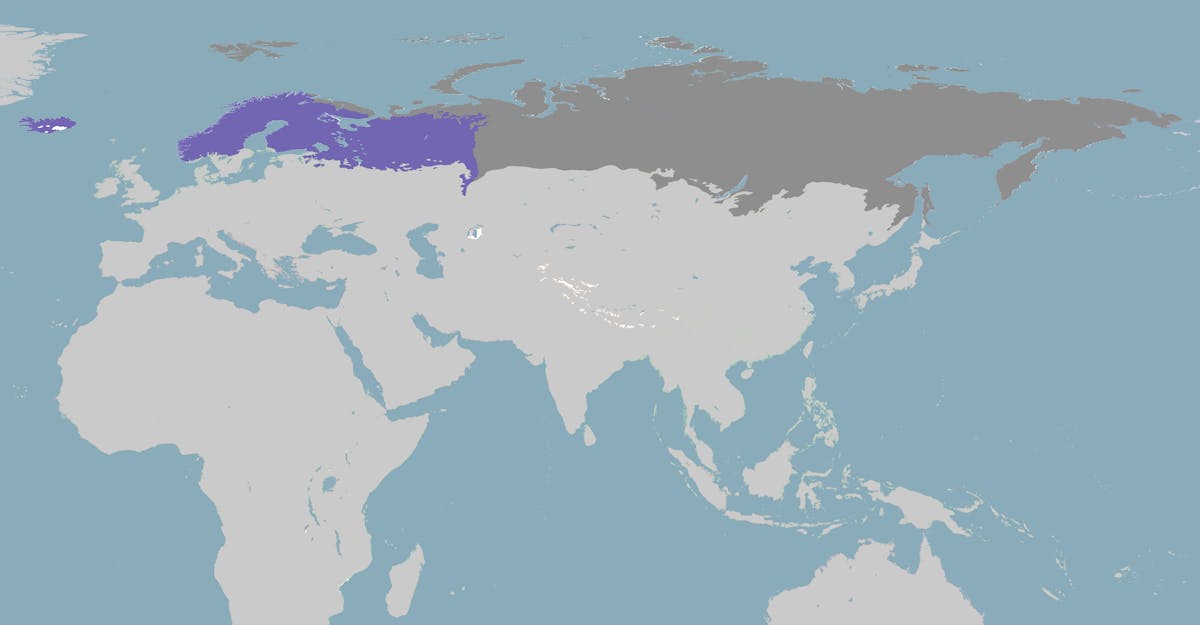 Scandinavia & West Boreal Forests | One Earth