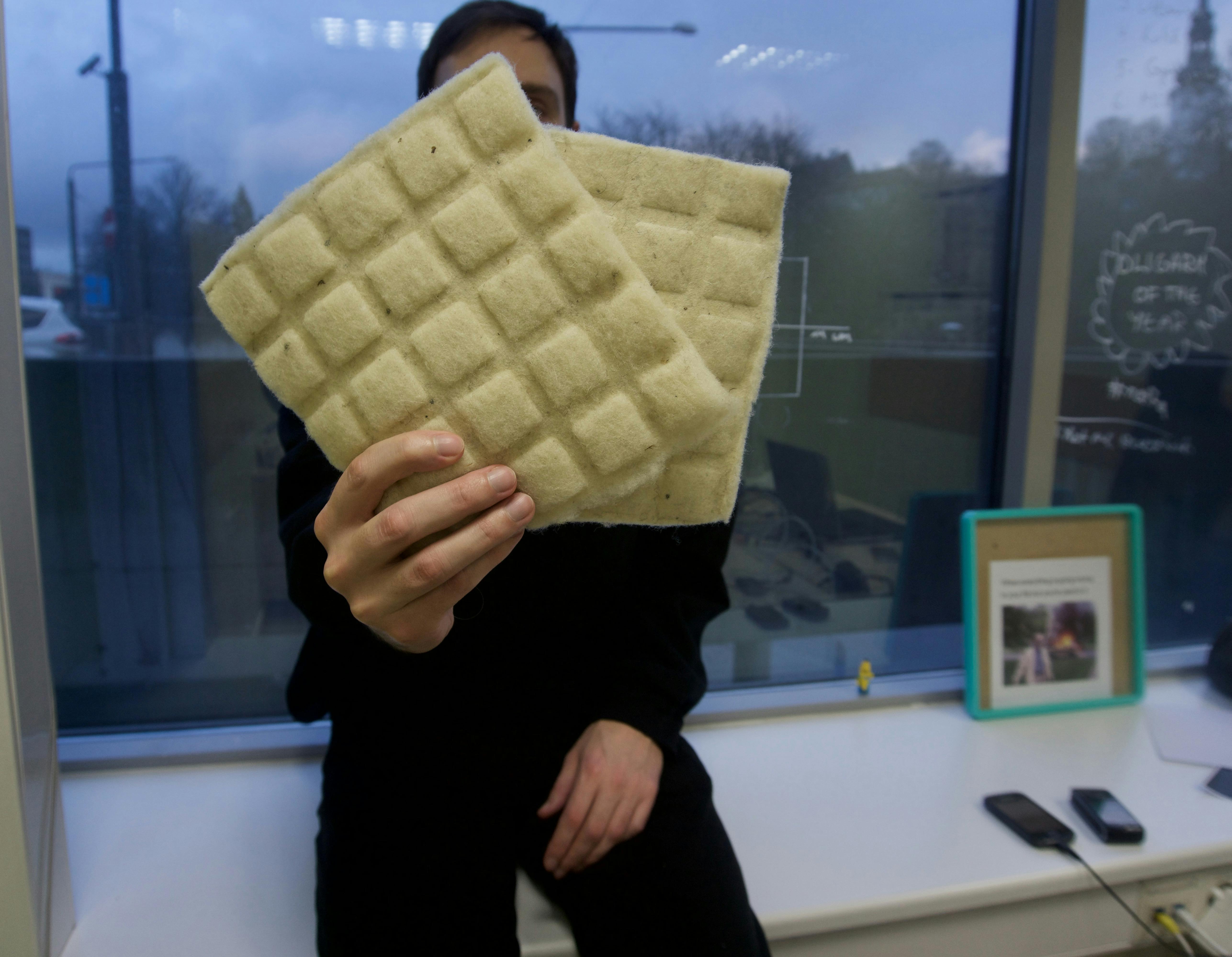 In a plastic-choked world, sheep’s wool could provide an answer | One Earth