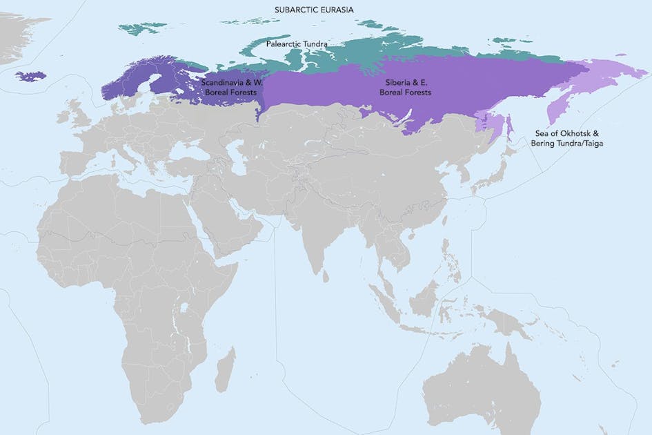 Subarctic Eurasia | One Earth