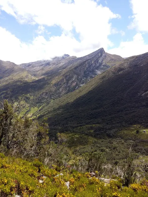 Magdalena Valley Montane Forests | One Earth