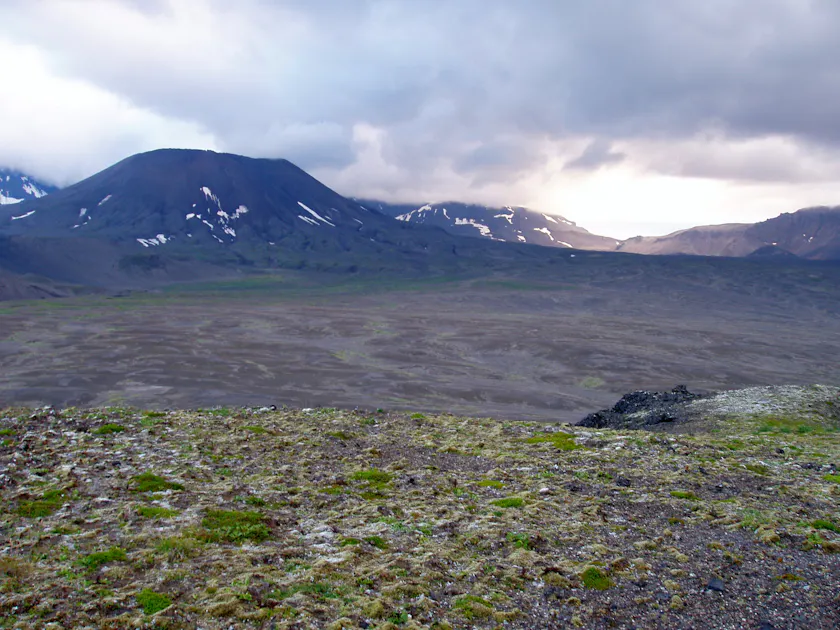 Greater Alaska Taiga & Tundra (NA4) | One Earth