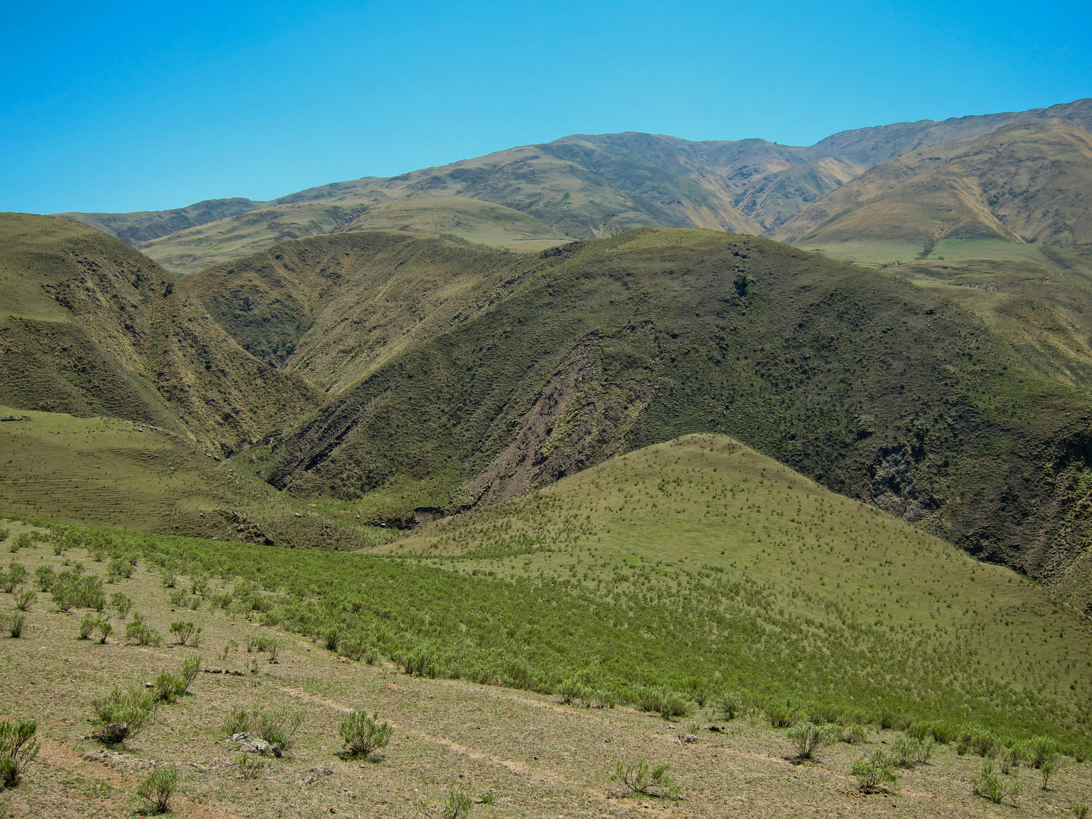 Southern Andean Yungas | One Earth
