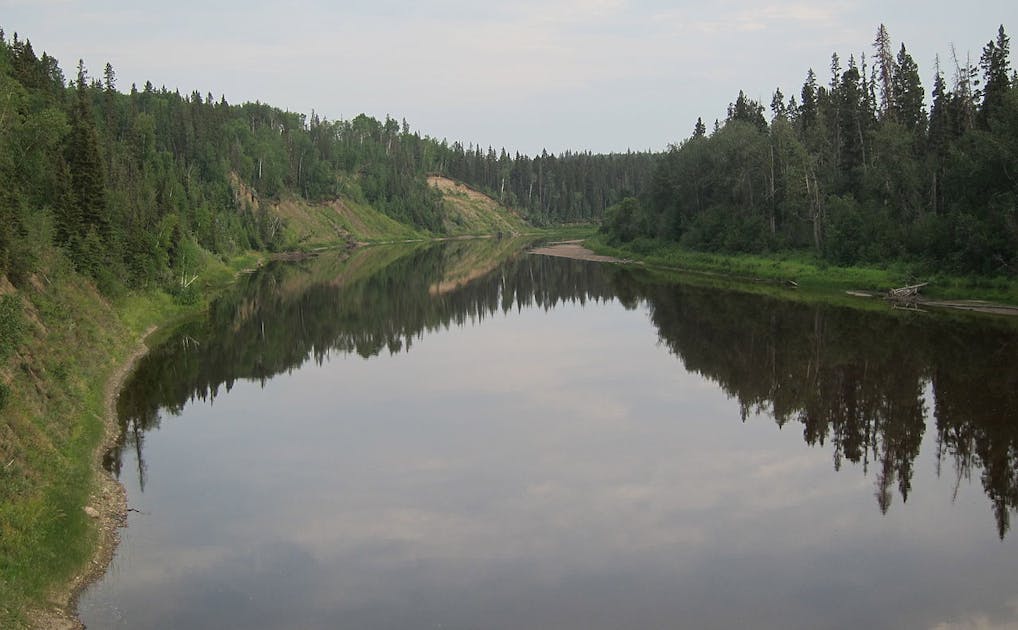 Muskwa-Slave Lake Taiga | One Earth