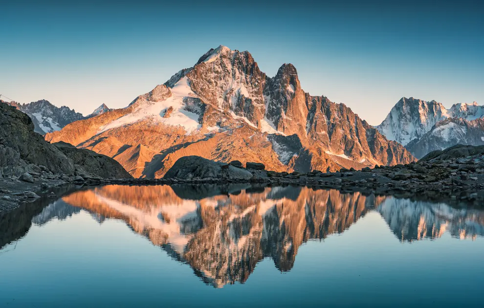 Alps Conifer and Mixed Forests | One Earth