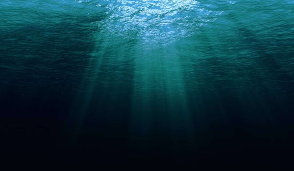 The Pilbara olive python: The secret giant of Australia’s red heart ...