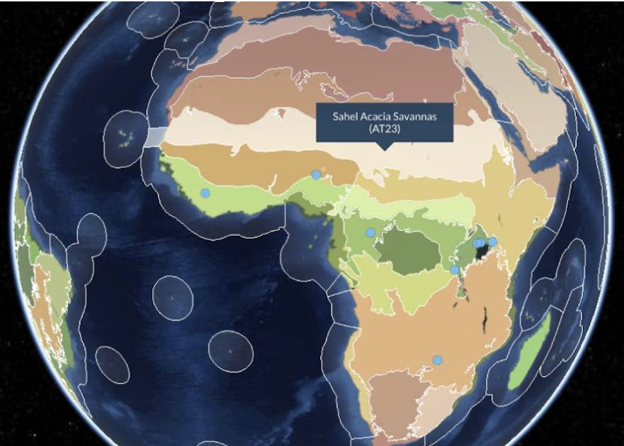 Navigator | One Earth