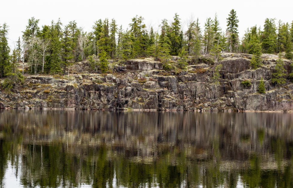 Midwest Canadian Shield Forests | One Earth