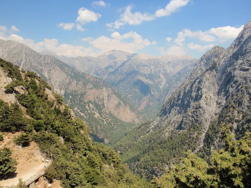 Crete Mediterranean Forests | One Earth