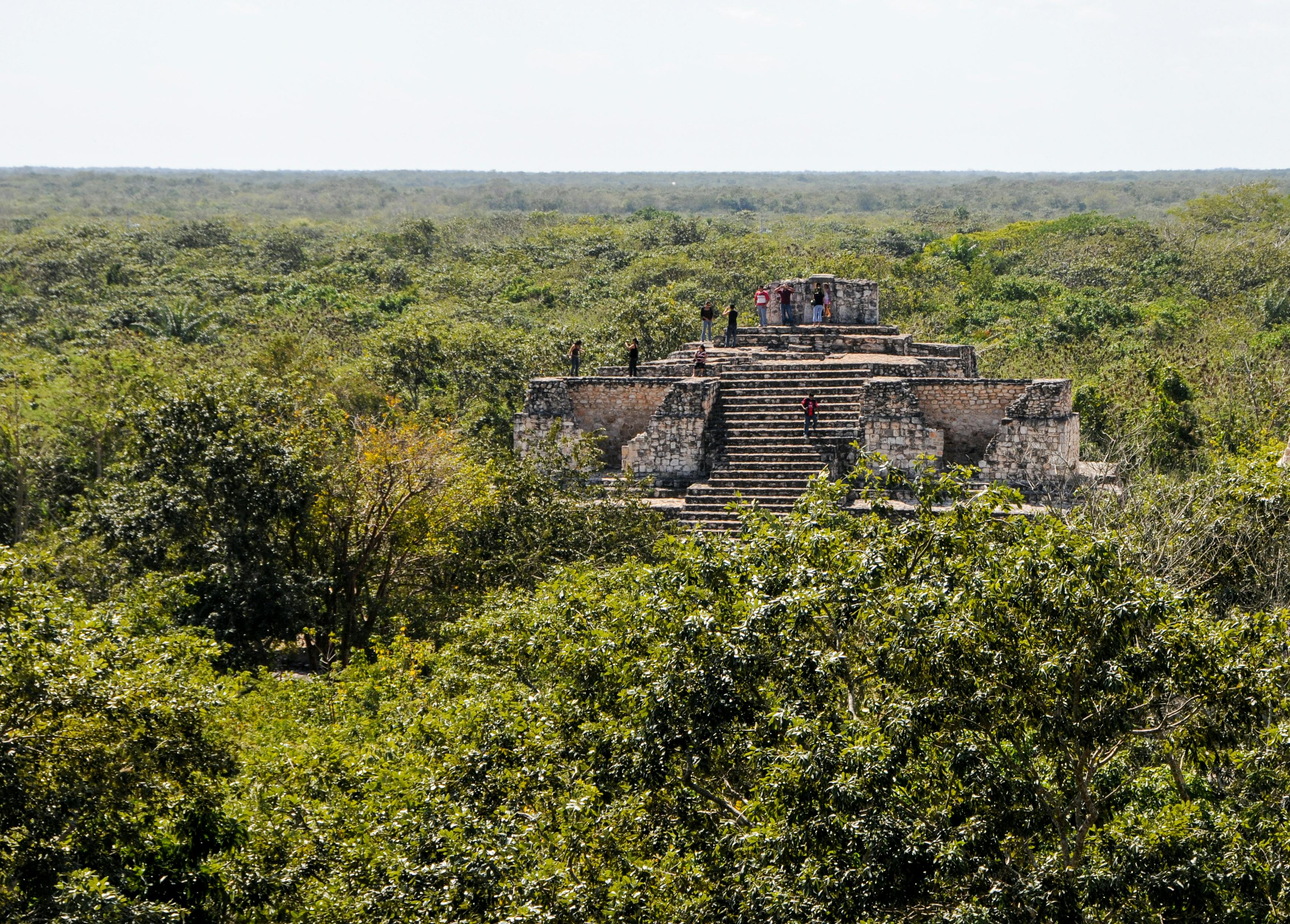 Yucatan Moist Forests | One Earth