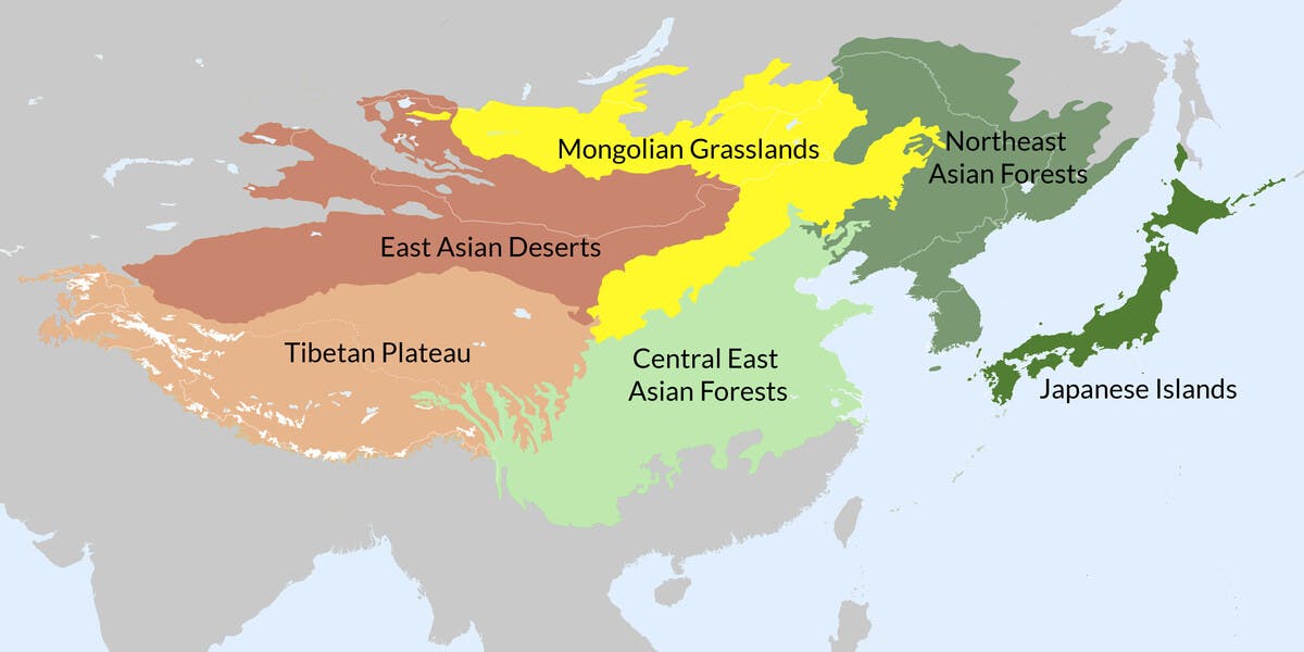 Eastern Eurasia | Realm & Subrealms | One Earth