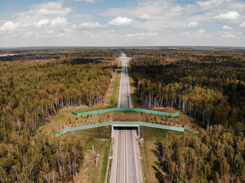 Connectivity: ecological corridors are key to protecting biodiversity ...