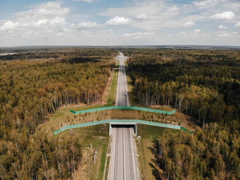 Connectivity: ecological corridors are key to protecting biodiversity ...