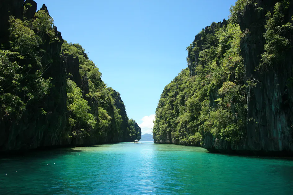 Palawan Rainforests | One Earth