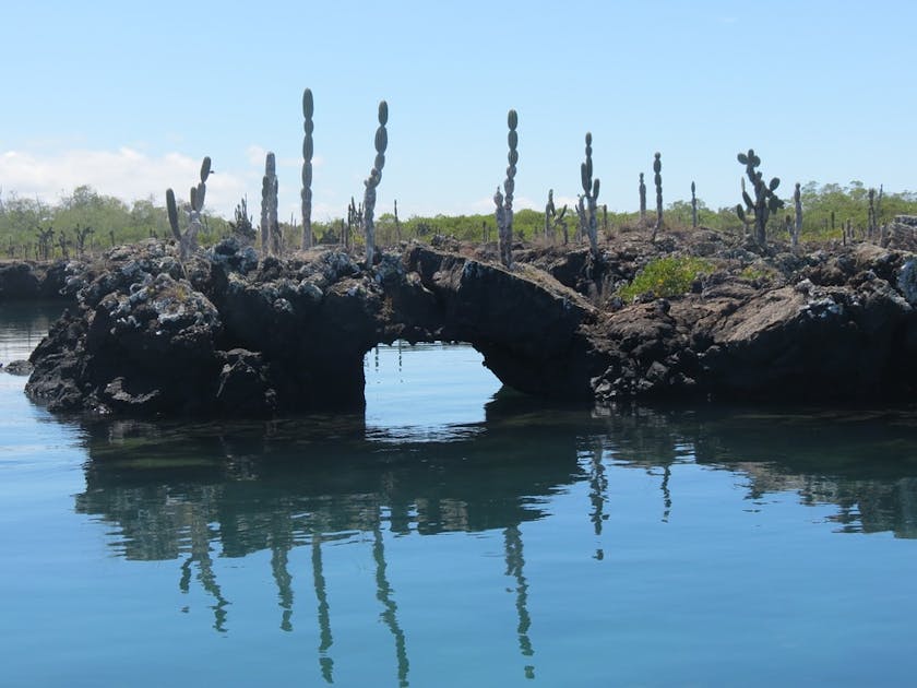 Galápagos Islands Xeric Scrub | One Earth