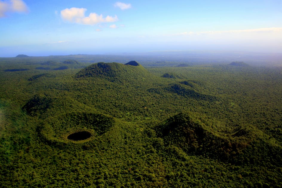 Samoan Tropical Moist Forests | One Earth