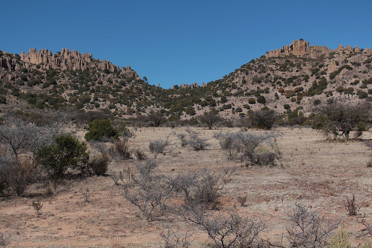 Meseta Central Matorral | One Earth