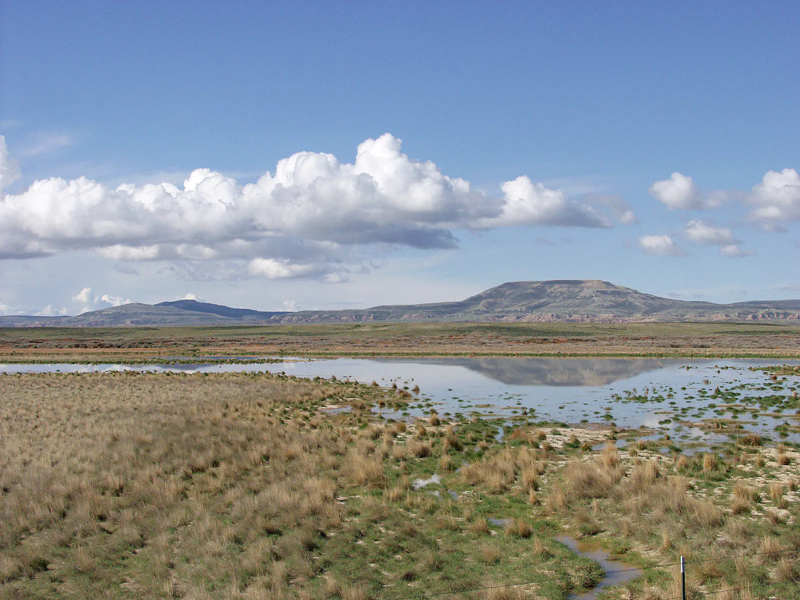 Wyoming Basin Shrub Steppe | One Earth