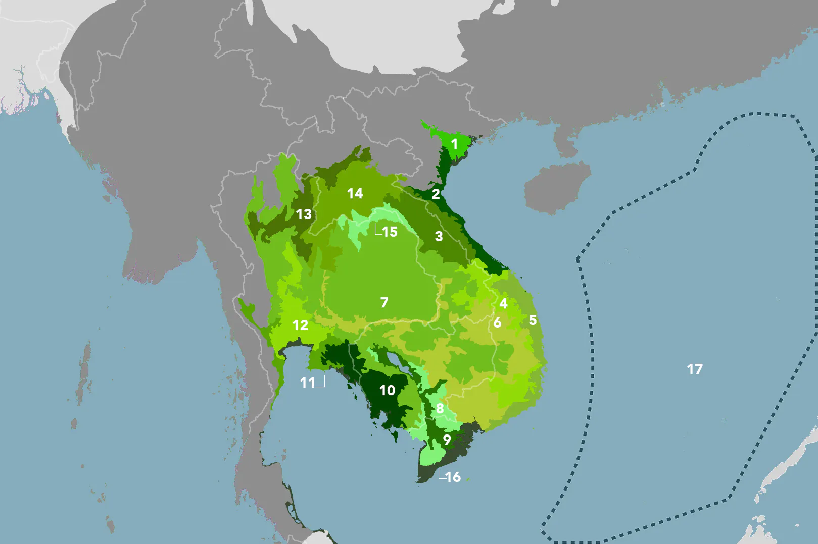 Indochina Mixed Forests & Peatlands (IM12) | One Earth